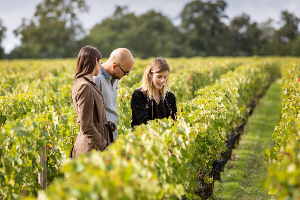 Matthieu Bordes - Bordeauxgraphy - Marco Tonelli